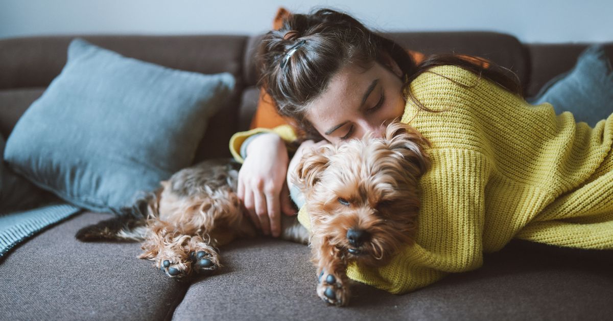 Check Out These Amazing Small Dog Breeds - Critter Culture