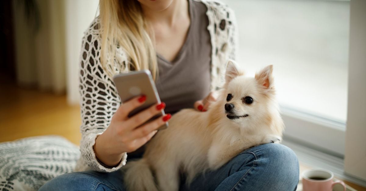 The Cutest and Quirkiest Pet Instagram Accounts to Follow - Critter Culture