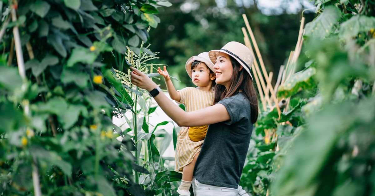 What Do I Need to Start a Hobby Farm? - Critter Culture