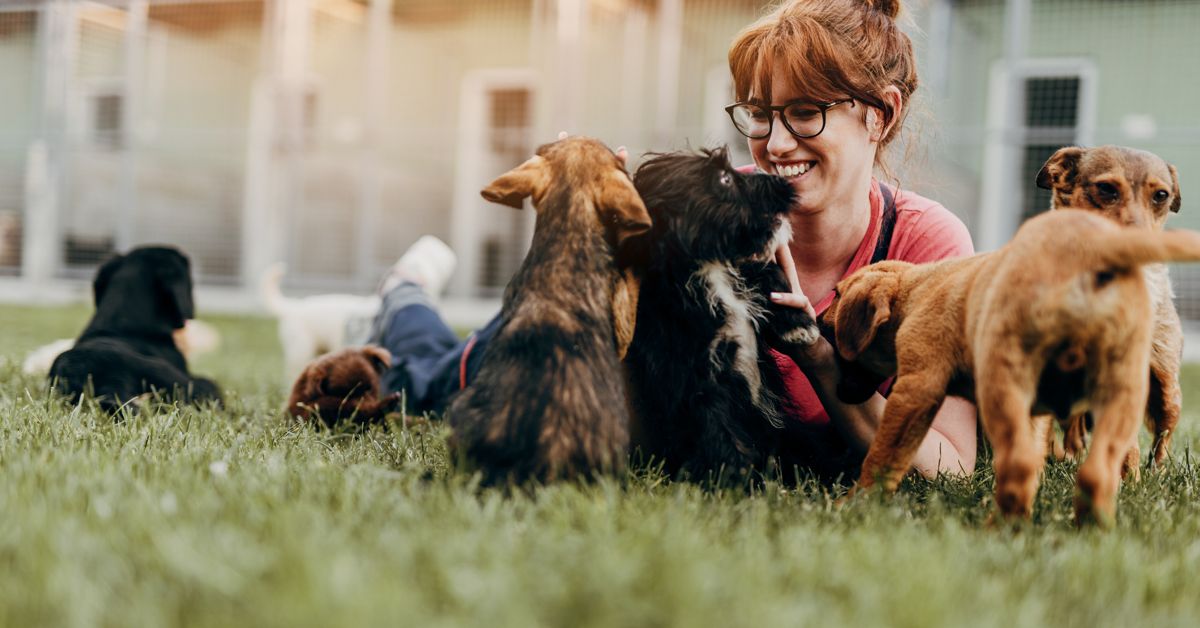 Easy Ways Your Dog Can Make Friends - Critter Culture