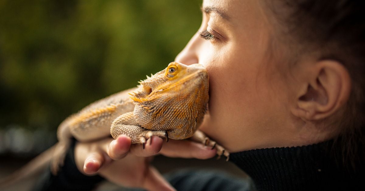 20 Loveable Names For Your New Pet Lizard - Critter Culture
