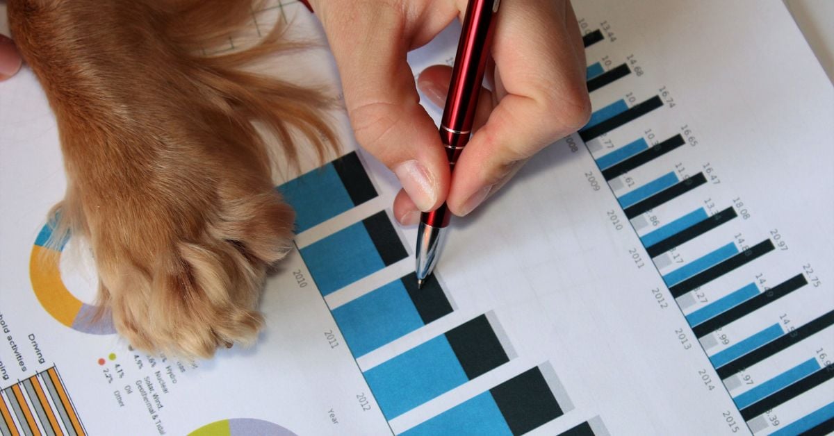 15 Pet Statistics That Might Surprise You - Critter Culture