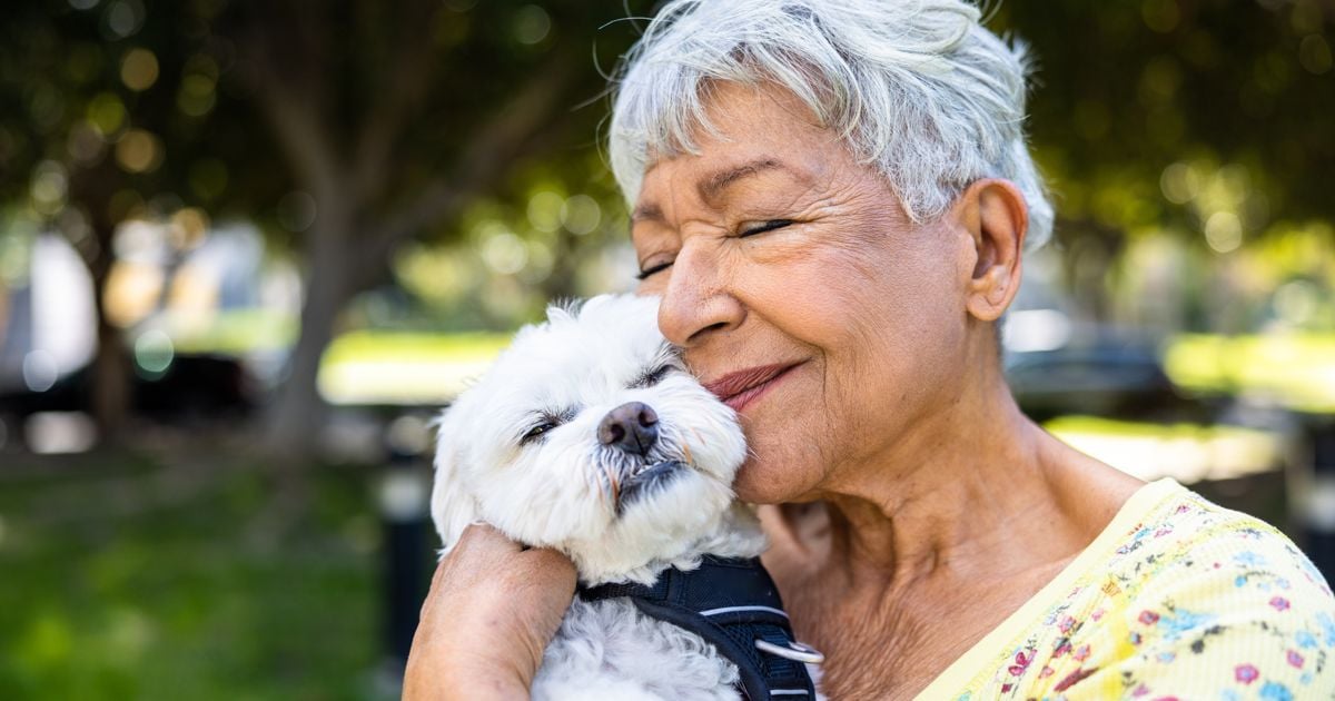 The Top Most Lovable Pets - Critter Culture