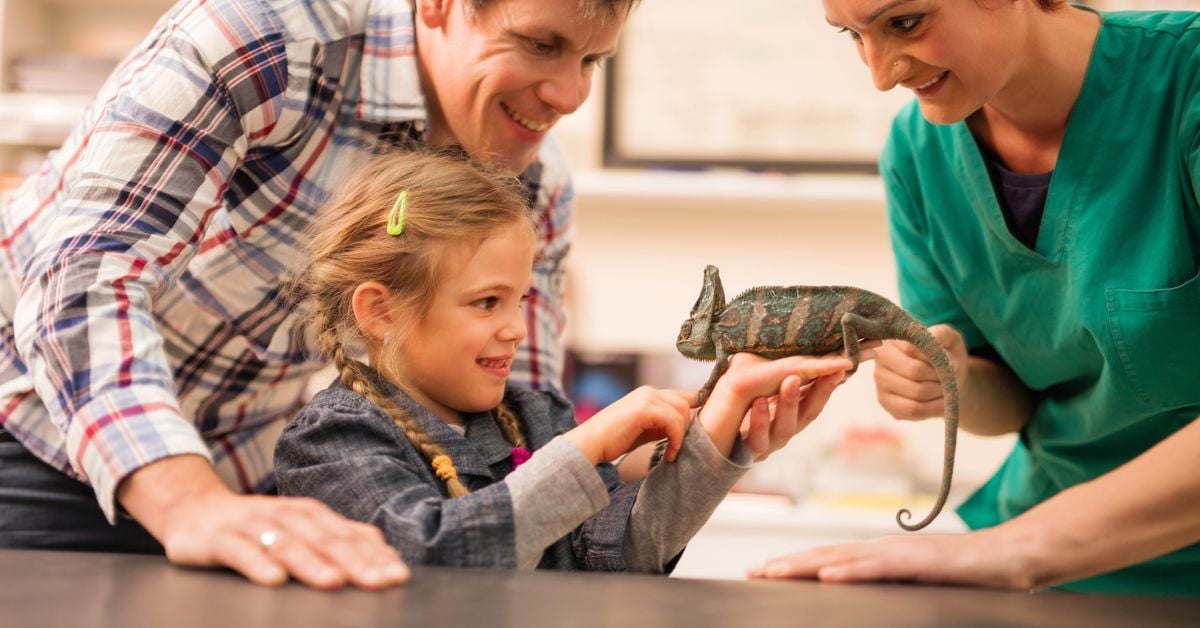 How To Care For 15 Fascinating Exotic Pets - Critter Culture