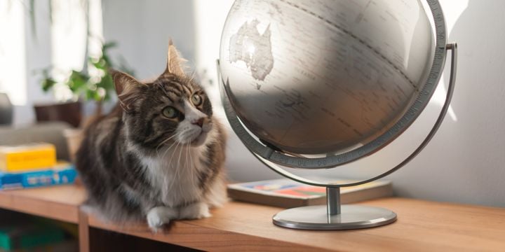 Names - Critter Culture