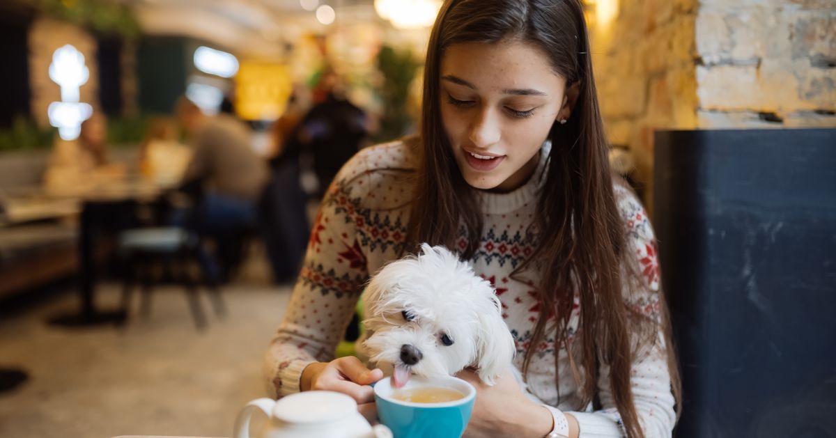 Wacky and Wonderful Pet-Themed Cafes Around the World - Critter Culture