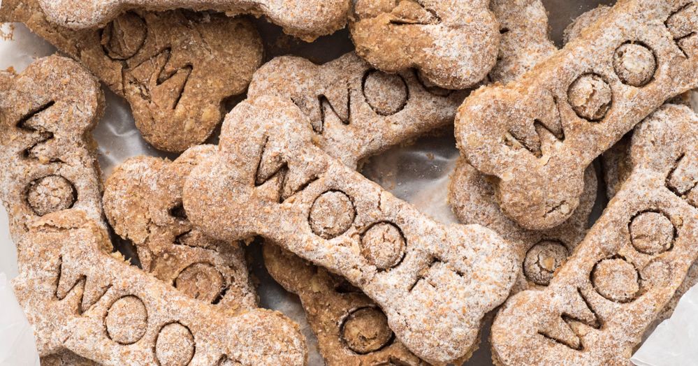 Homemade Dog Treat Ideas to Delight Your Pup - Critter Culture