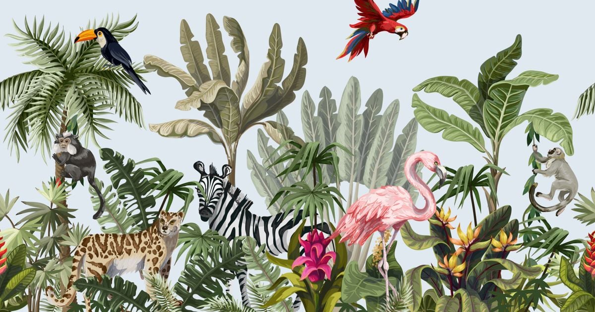 Animal Aesthetic: Finding Beauty in the Natural World - Critter Culture